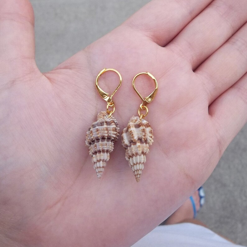 Real Natural Tan Cone Conch Shell Seashell Unicorn Horn Ocean Beach ...