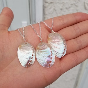 Real Natural Aura Pearlized Iridescent Rainbow Abalone Shell Seashell ...