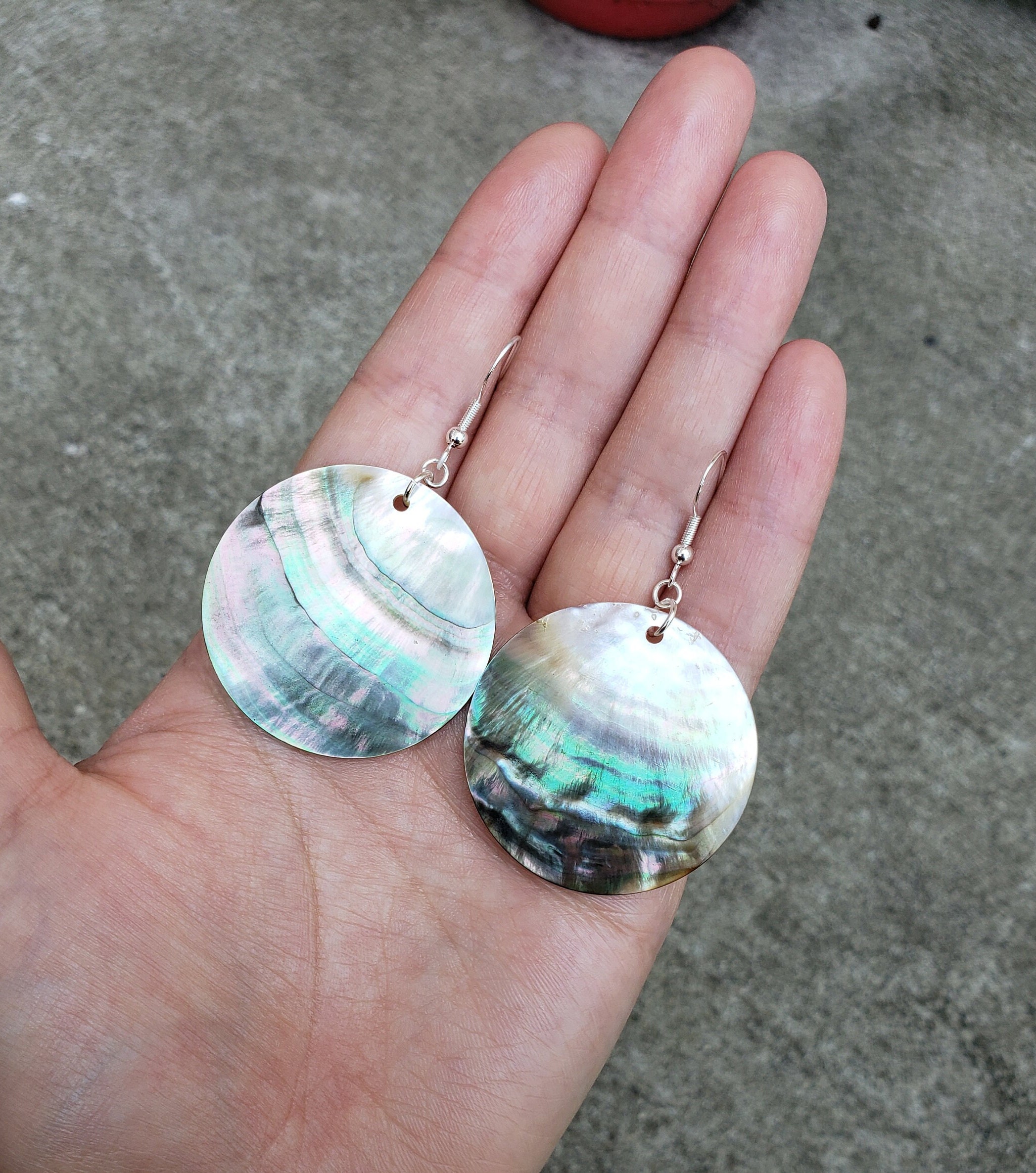 Real Natural Beautiful Big Abalone Gray Red Green Mother of Pearl Shell ...