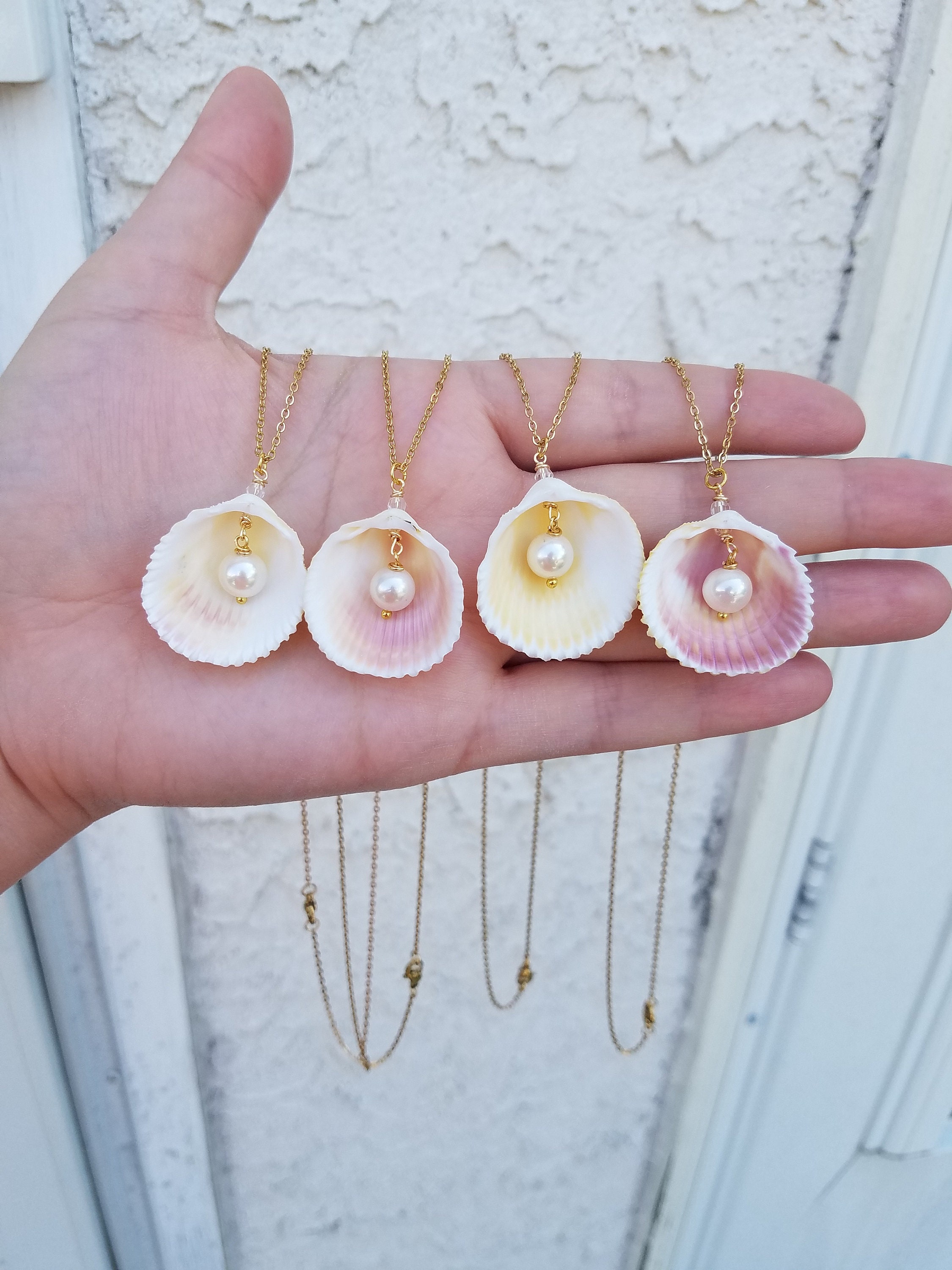 Real Natural Yellow Pink Clam Shell Seashell Scallop Florida | Etsy