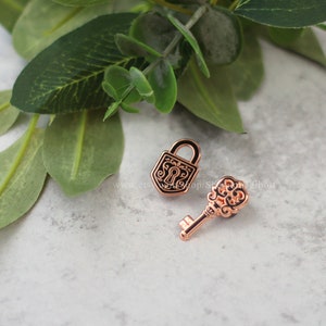 Lock and Key Enamel Pin, Couples Enamel Pin Set, Bestfriend Enamel Pins ...
