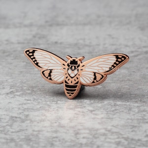 Cicada Enamel Pin Bug Pin Insect Pin Beetle Enamel Pin - Etsy