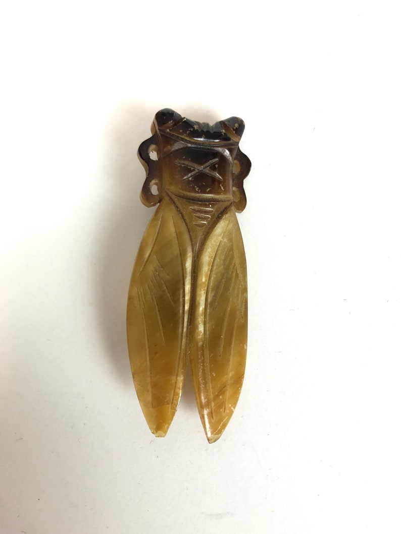 Vintage 1920s Translucent French Art Deco Plastic Cicada Brooch by ...