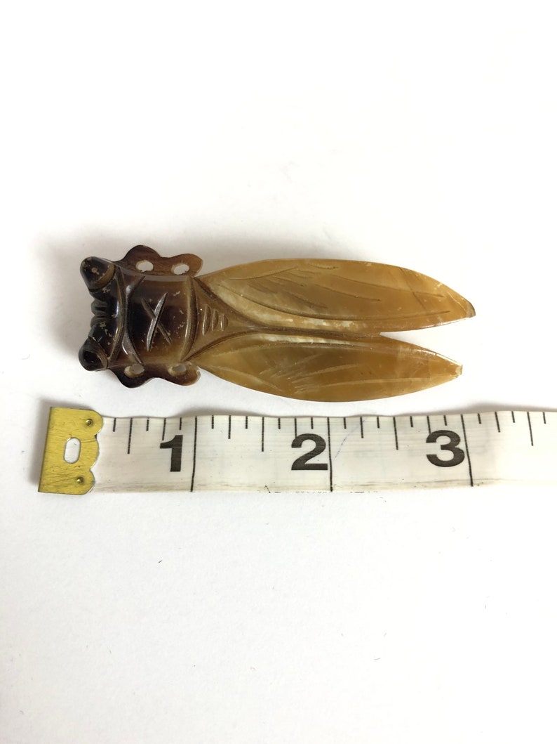 Vintage 1920s Translucent French Art Deco Plastic Cicada Brooch by ...