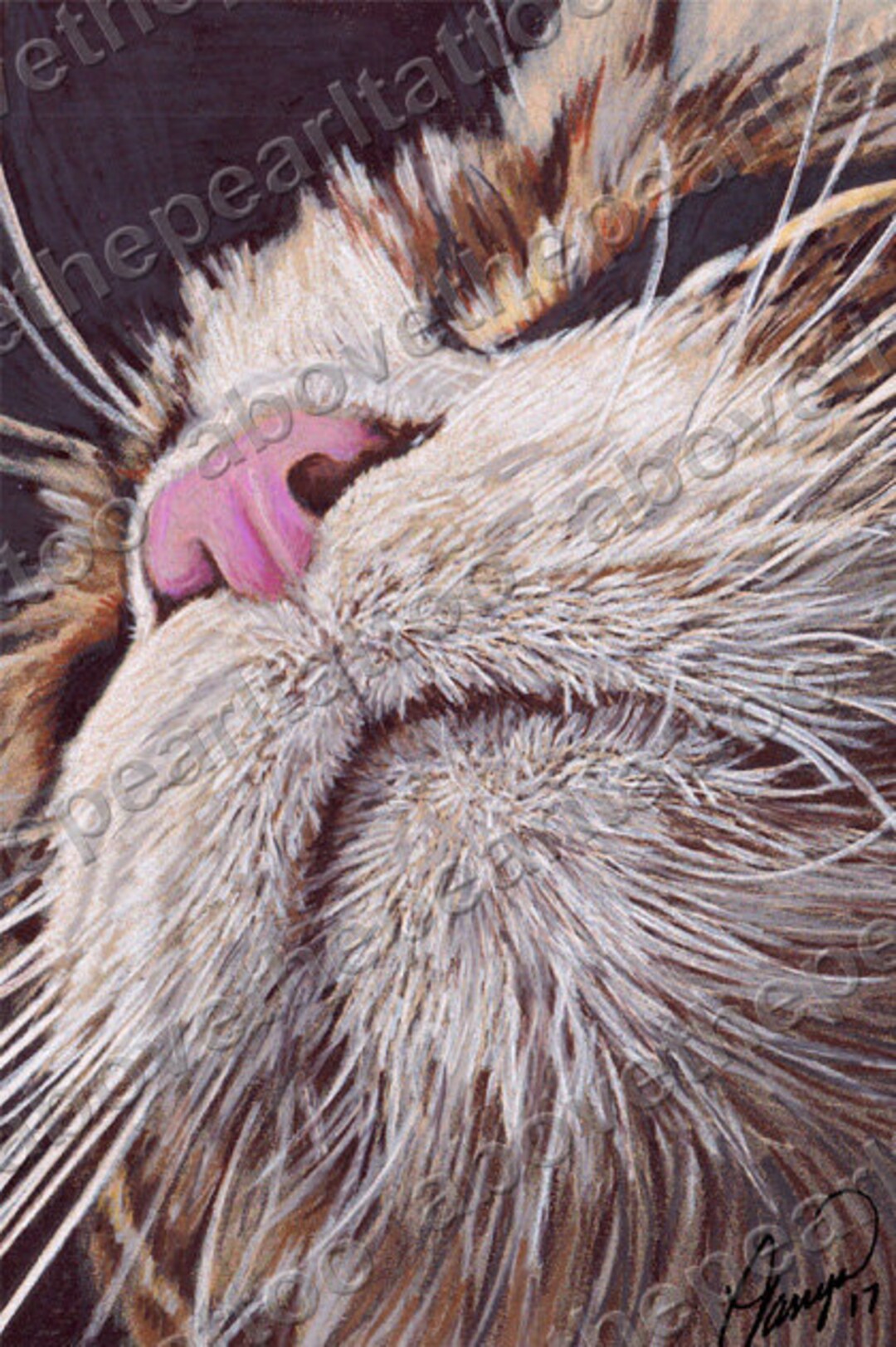 Kitteh Cat Face Drawing, "kitteh" by Tanya Magdalena - Etsy