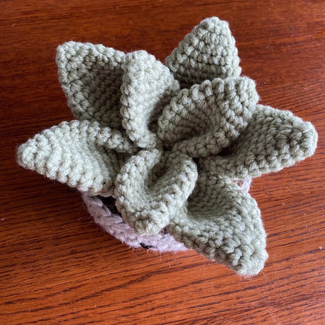Succulent House Plant Crochet Pattern PDF Digital Download - “succa ...