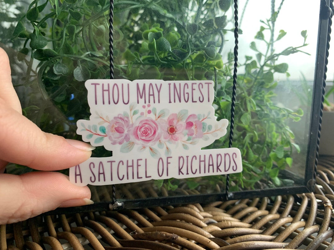 Funny Sticker Gag Gift Snarky Sticker Water Resistant - Etsy