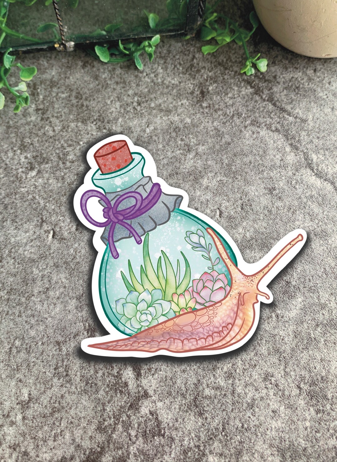 Mystery Snail, Snail Stickers, Magic Stickers, Succulent Sticker, Water ...