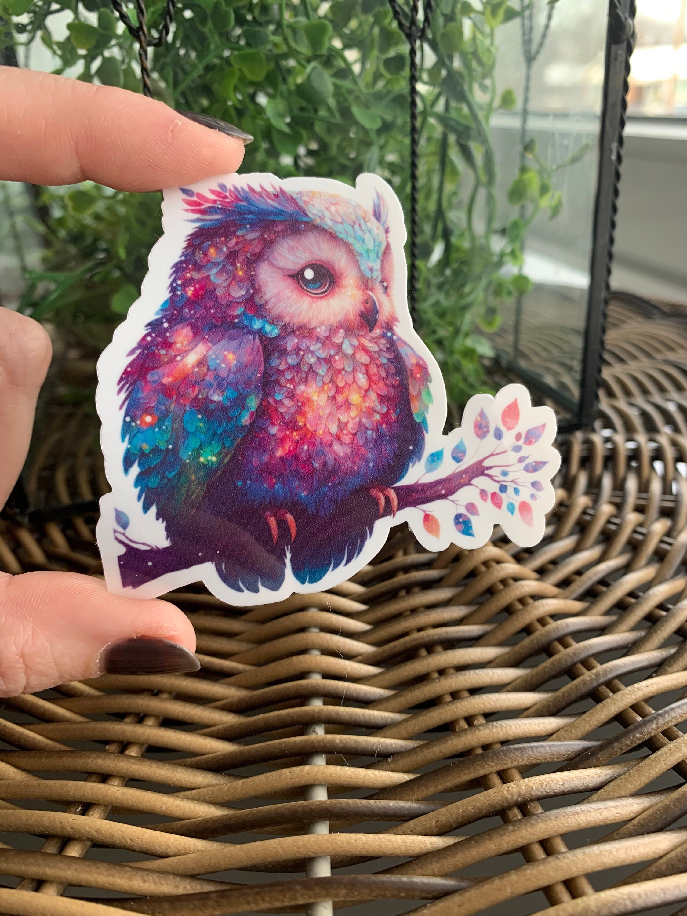 Rainbow Owl Sticker Owl Sticker Cute Animal Stickers Water - Etsy