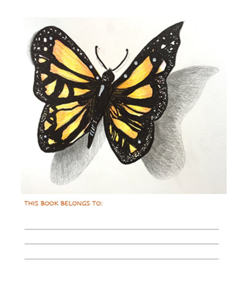 Double Lined Writing Pad, Handwriting Practice children Activities ...