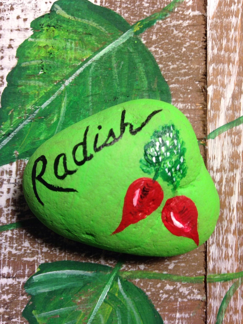 Painted HERB Rock RADISH Plant Marker Painted Rock - Etsy