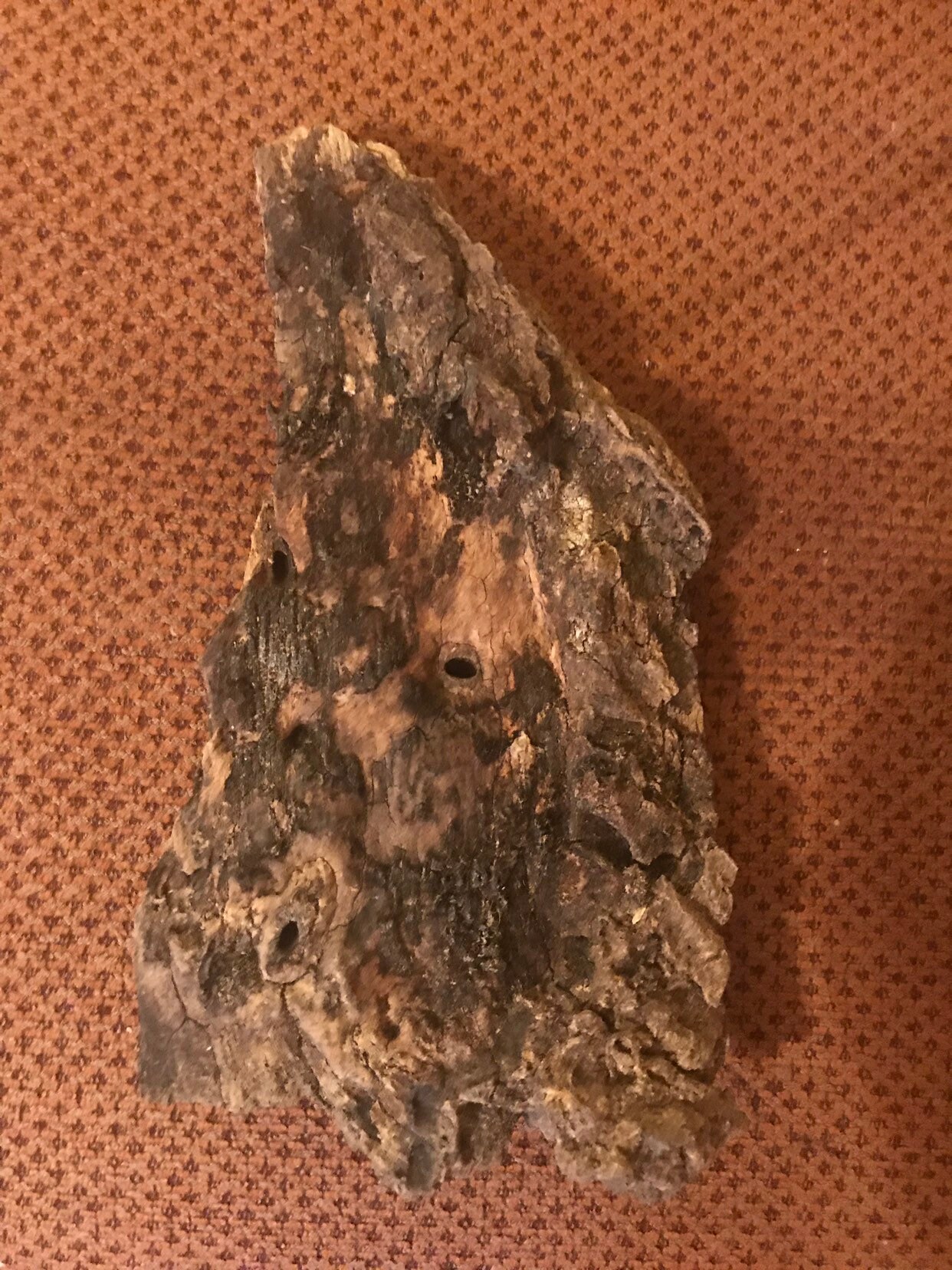 Hand Painted Tree of Life Rustic Driftwood OOAK | Etsy