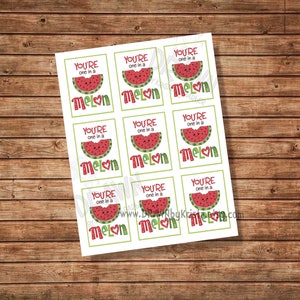 You're ONE in a MELON, Valentine, Teacher, Gift Tag, Classroom Gift Tag ...