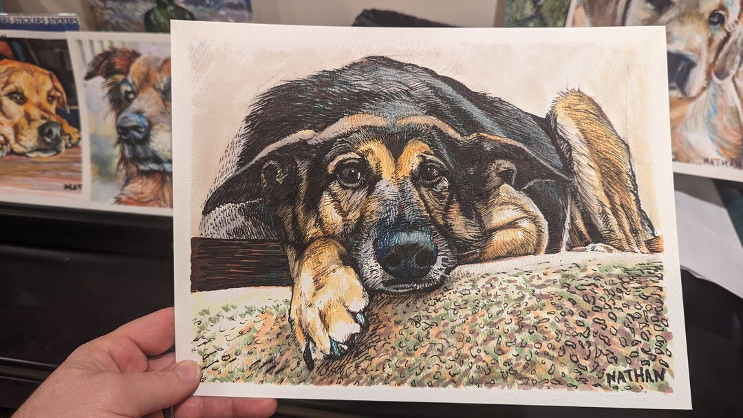 Custom Pet Portrait Color Drawing on 9 X 12 Paper - Etsy