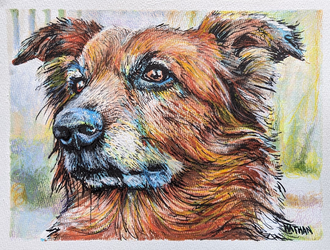 Custom Pet Portrait - Color Drawing on 9 X 12 Paper - Etsy