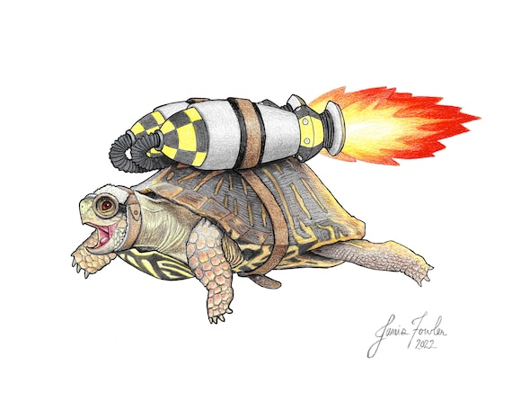 Frank the Turtle's First Flight - Etsy