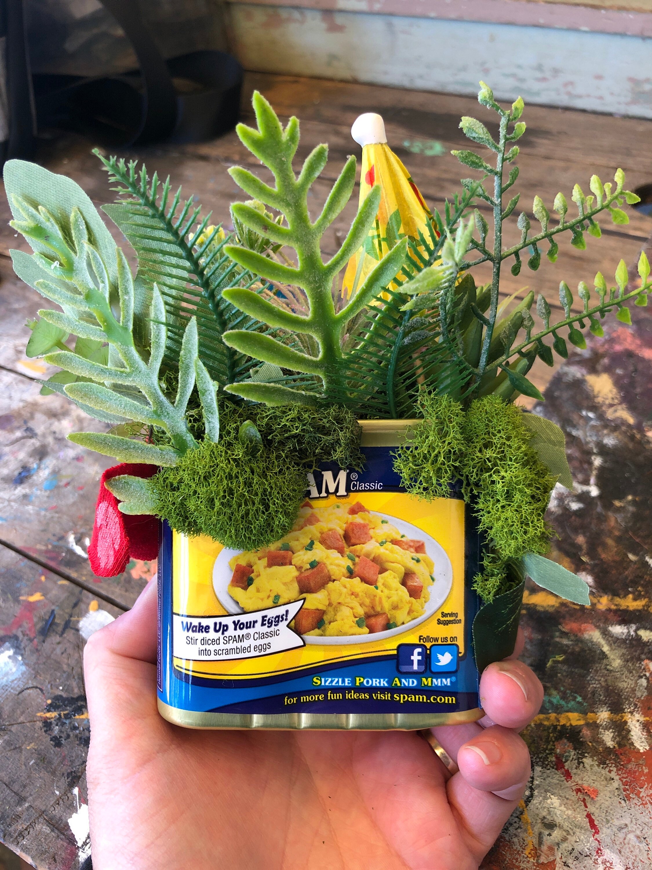 Disney Lilo & Stitch Inspired Spam Can Terrarium - Etsy