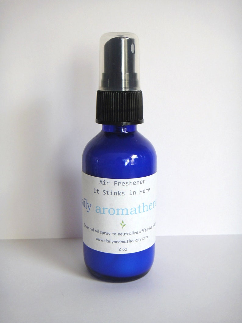 It Stinks in Here Air Freshener Aromatherapy Spray to - Etsy