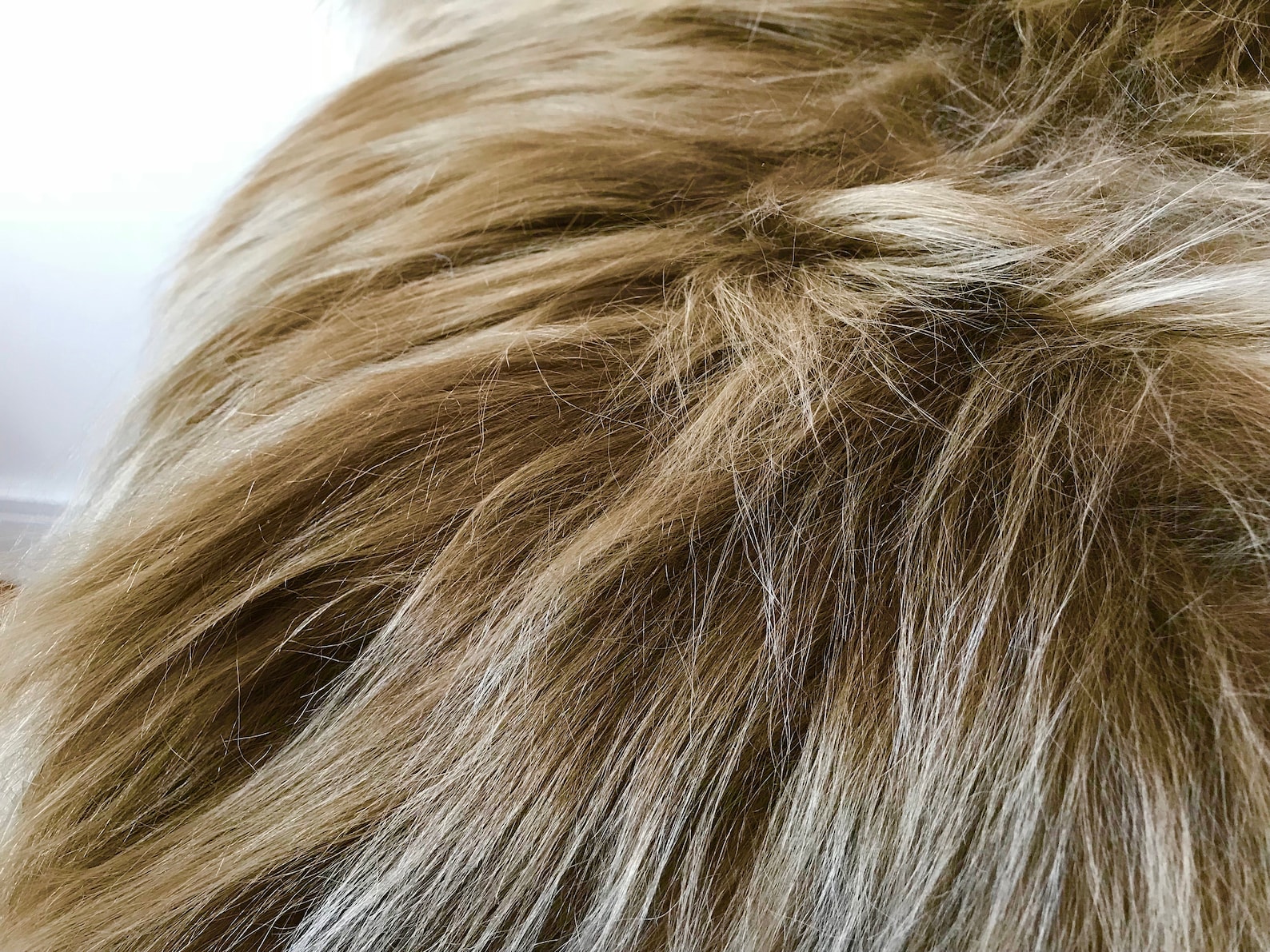 Brand New XXL Large Genuine Rusty Brisa Light Caramel/honey - Etsy