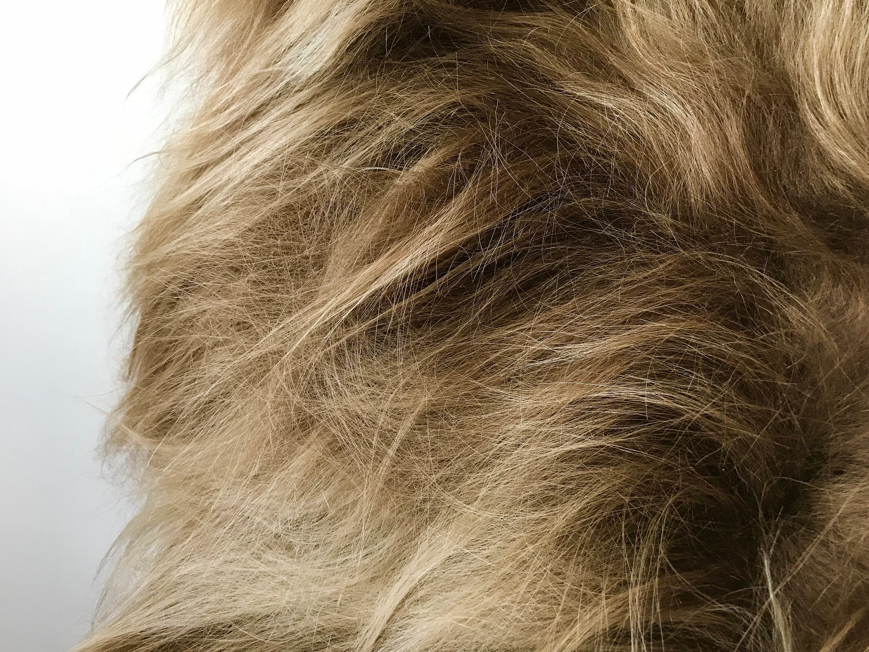 Brand New XXL Large Genuine Rusty Brisa Light Caramel/honey - Etsy