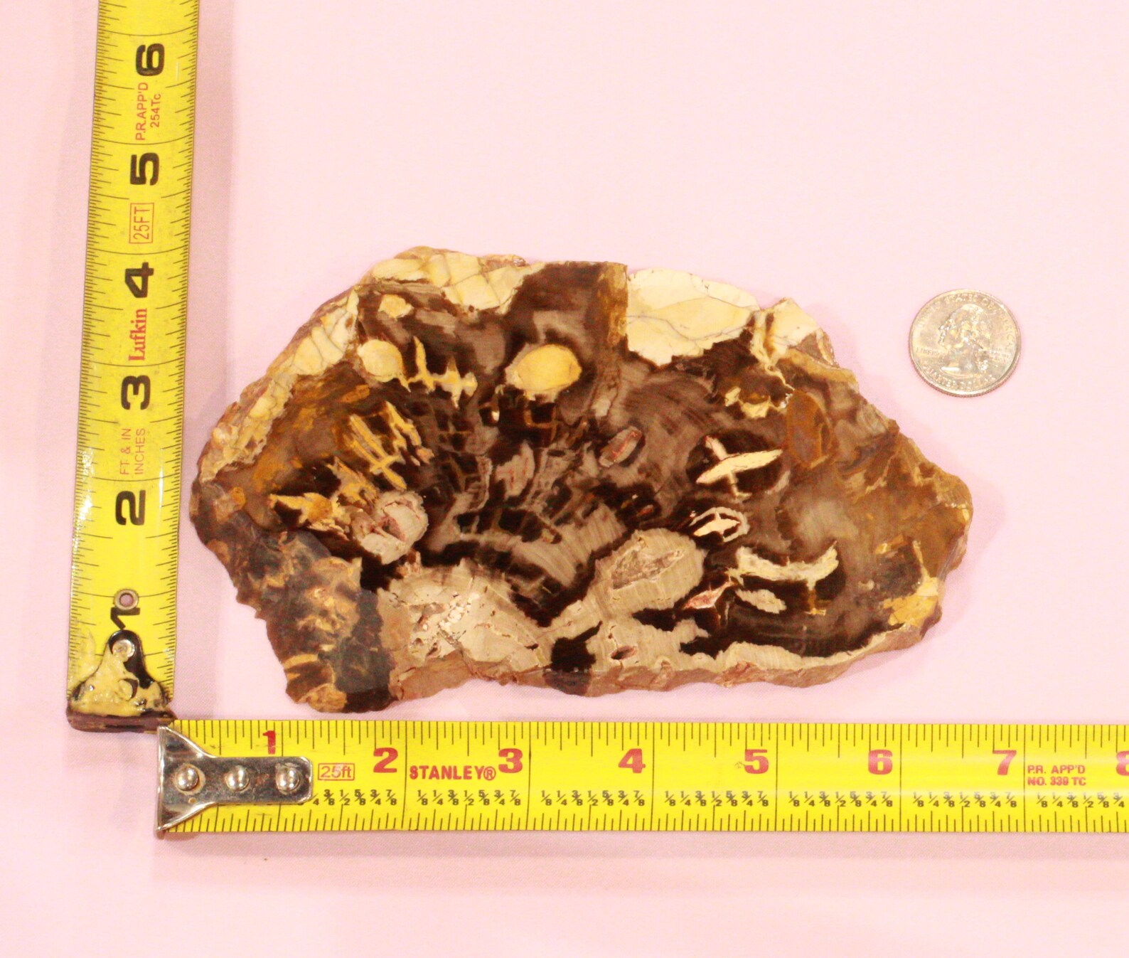 Large Genuine Peanut Wood Jasper Specimen 368g | Etsy