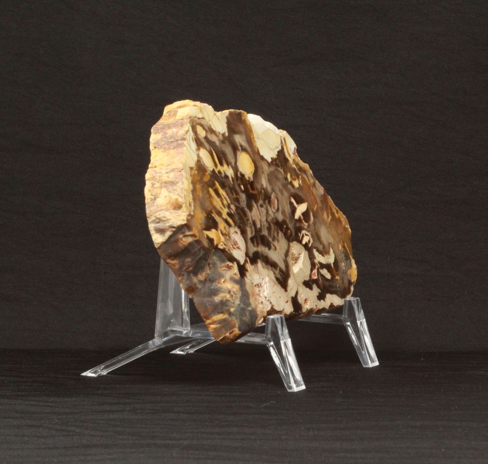 Large Genuine Peanut Wood Jasper Specimen 368g - Etsy