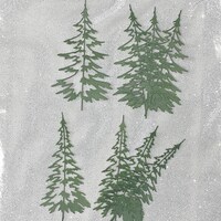 Paper Pine Tree Cutouts - Green Christmas Tree Die Cuts, (20) Pack - Etsy