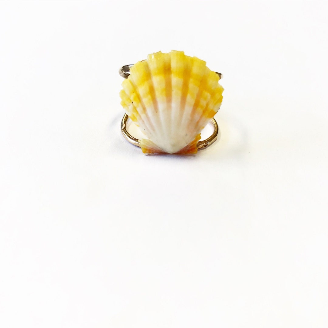 Kauai Sunrise Shell Ring on a 14k Gold Fill or SS Hammered Double Band ...