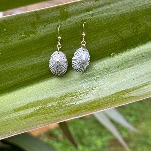 Kauai Opihi Shell Earrings - Etsy