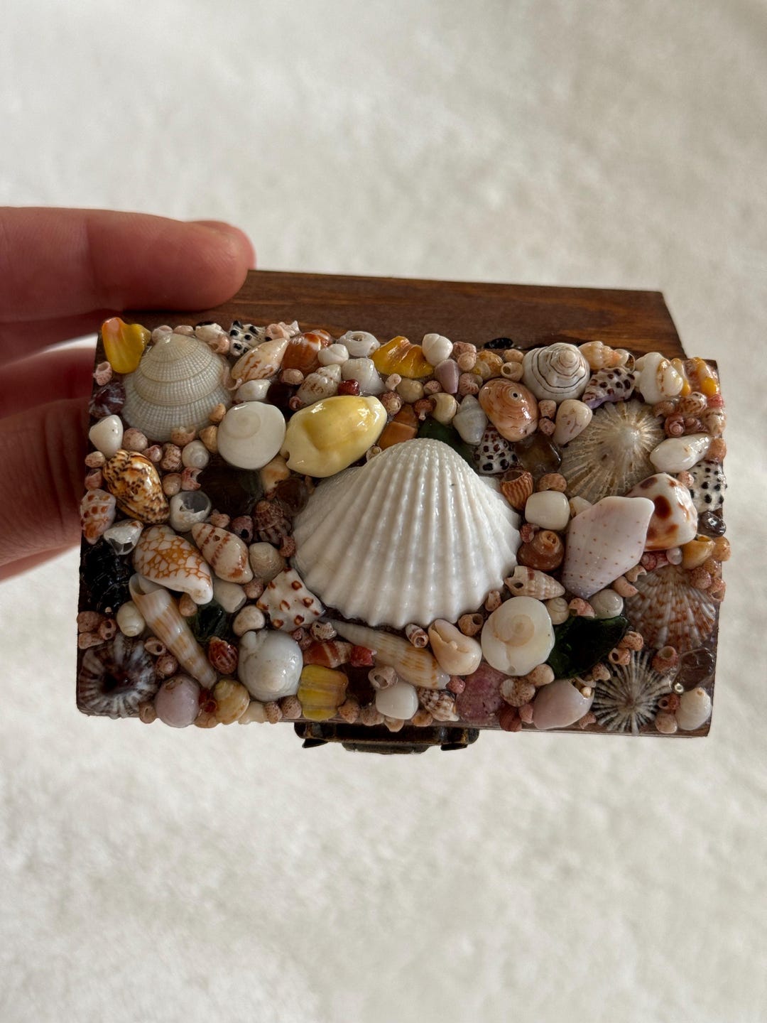 Kauai Seashell & Glass Handmade Treasure Box - Etsy