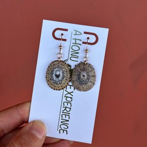 Kauai Opihi Shell Earrings - Etsy