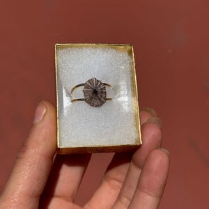 Kauai Opihi Shell Cocktail Ring in 14k Gold Fill or Sterling Silver - Etsy