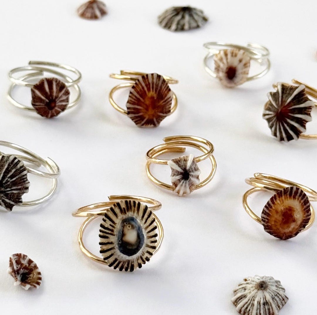 Kauai Opihi Shell Cocktail Ring in 14k Gold Fill or Sterling Silver - Etsy