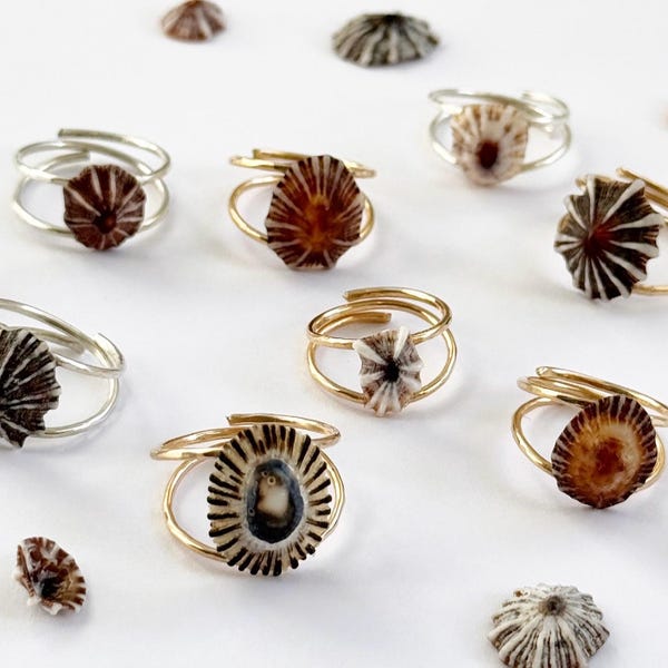 Opihi Rings Gold - Etsy