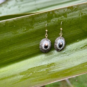 Kauai Opihi Shell Earrings - Etsy