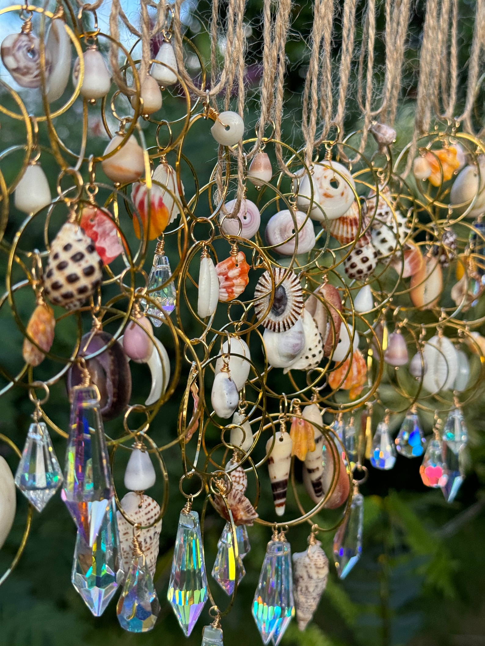 Kauai Shell Sun Catchers - Etsy