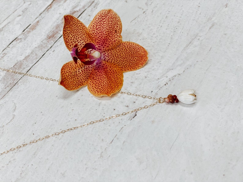 Pikake Ombre Niihau Shell Necklace or Earrings - Etsy