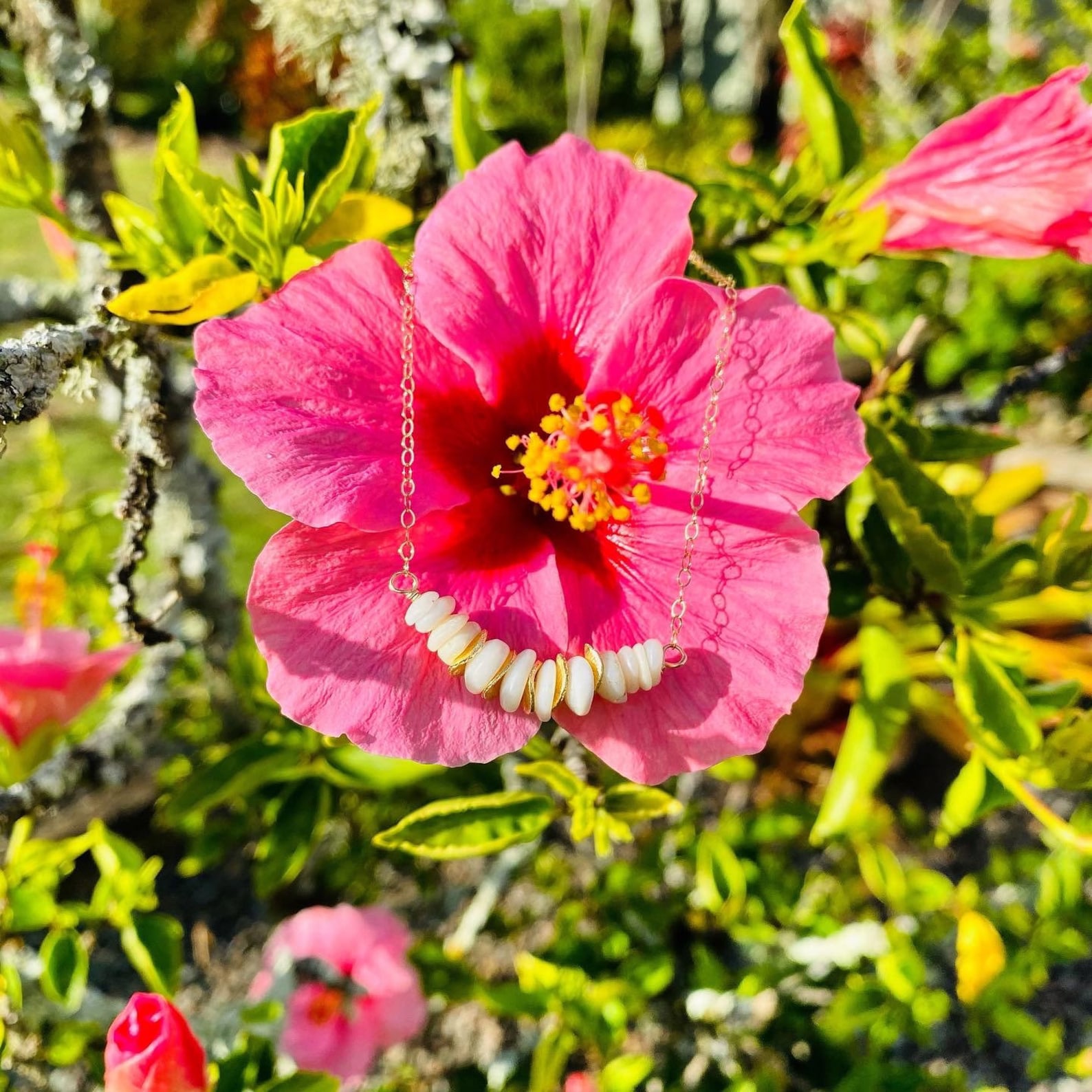 Hand Picked Kauai Puka Shell Bar Necklace - Etsy