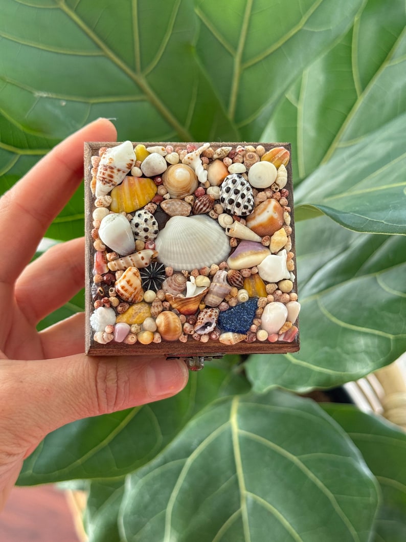Handmade Kauai Shell Treasure Box - Etsy