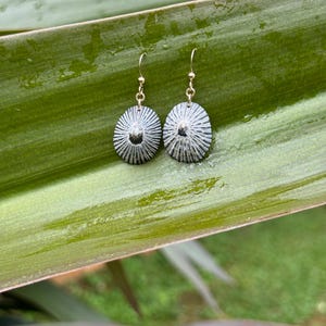 Kauai Opihi Shell Earrings - Etsy