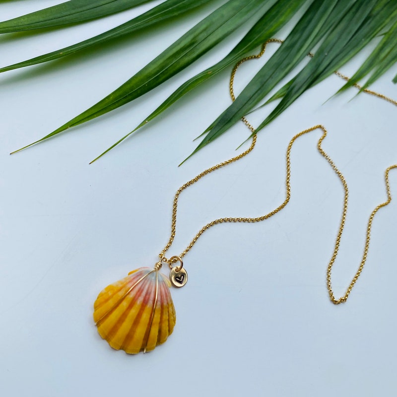 Sunrise Shell - Etsy