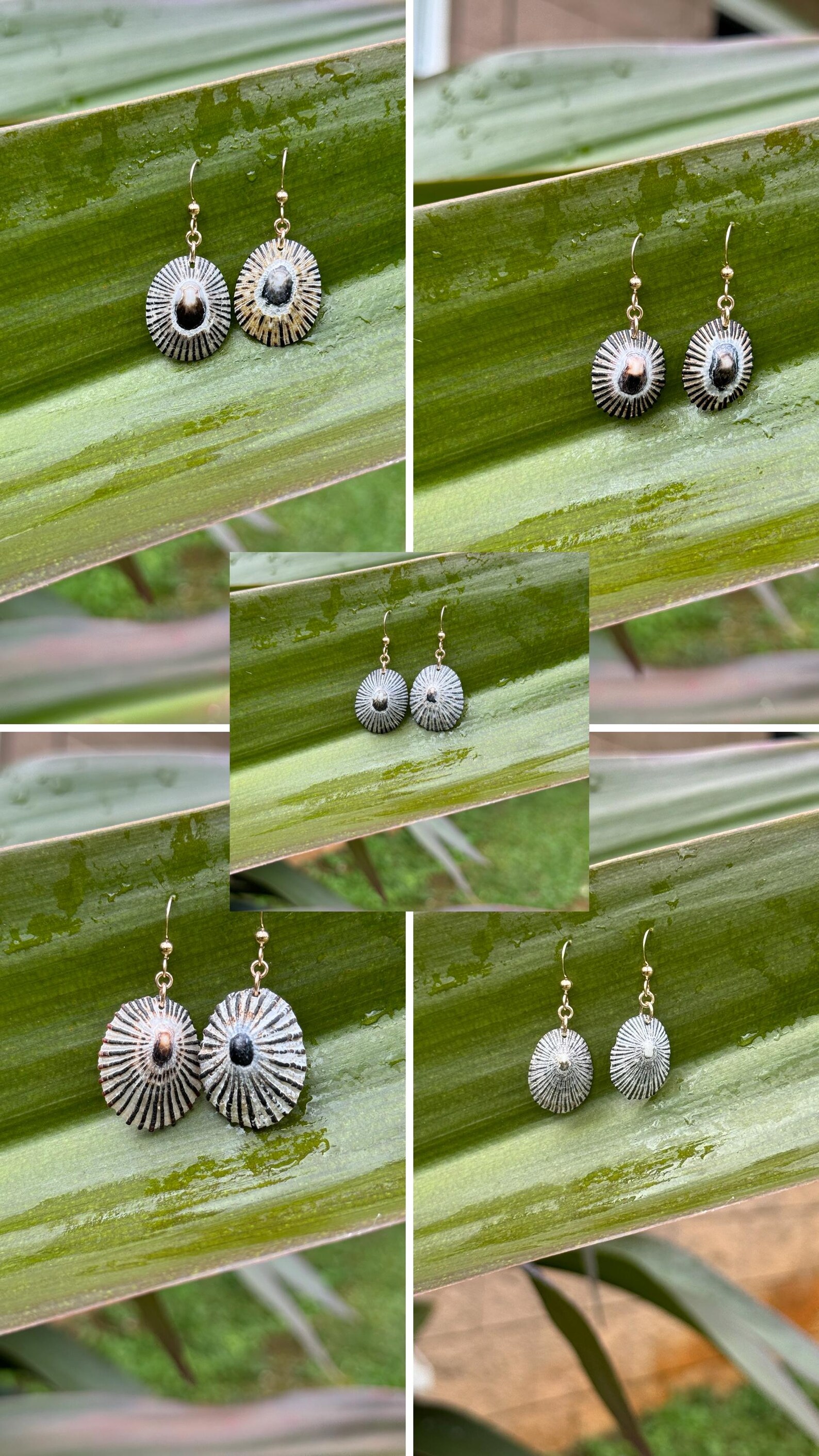 Kauai Opihi Shell Earrings - Etsy