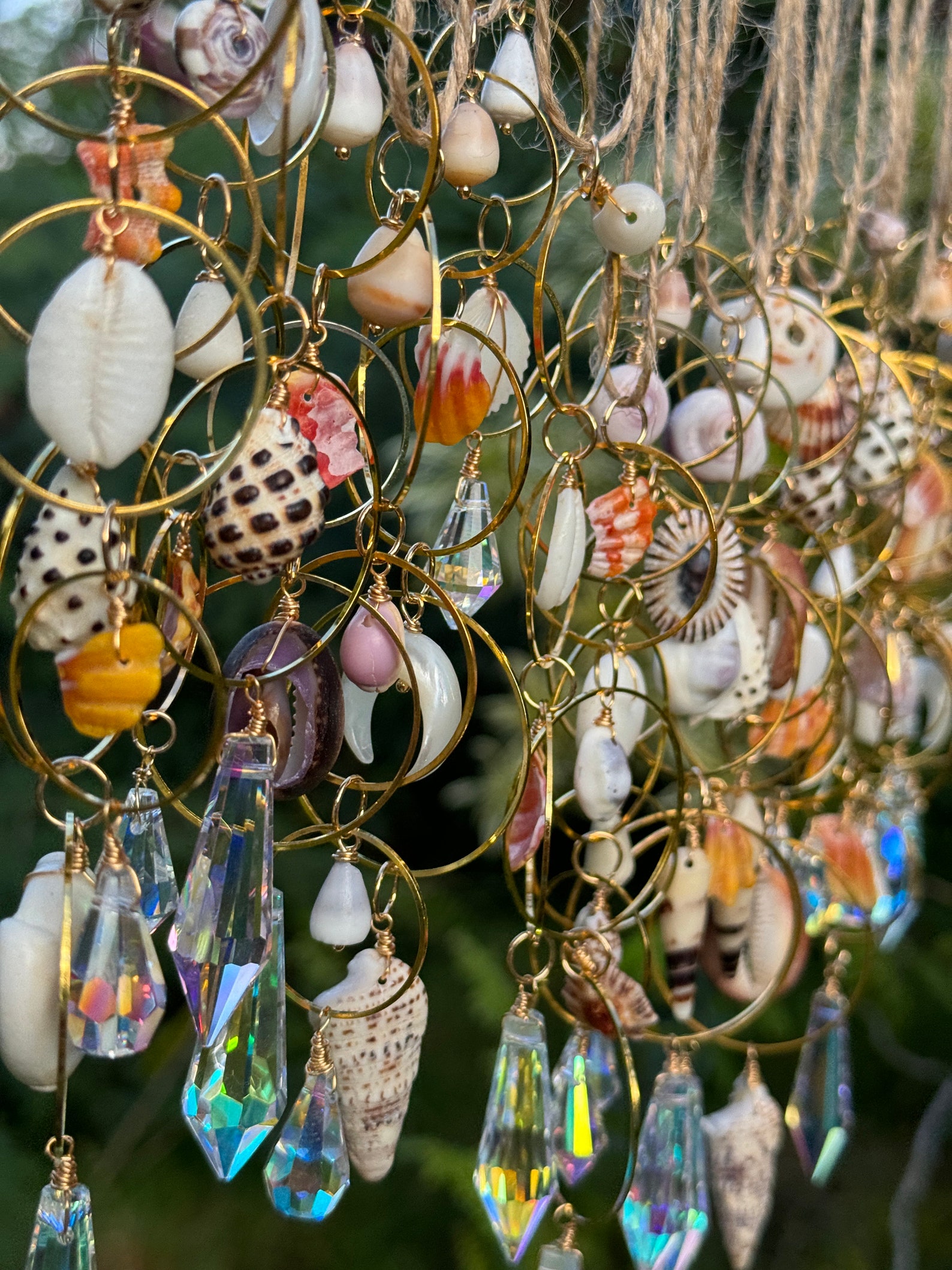 Kauai Shell Sun Catchers - Etsy