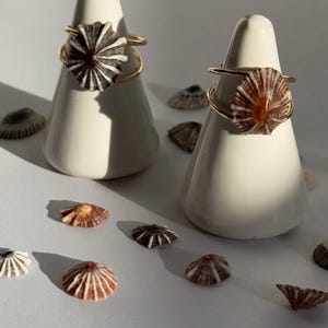 Kauai Opihi Shell Cocktail Ring in 14k Gold Fill or Sterling Silver - Etsy