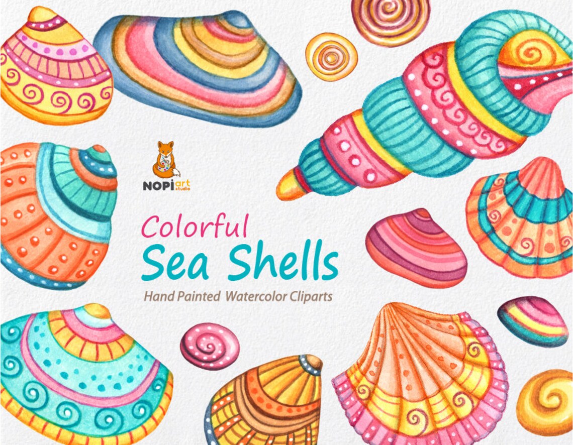 Colorful Watercolor Seashells Clipart, Hand Painted Nautical Ocean ...