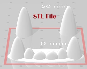 3D Printing Teeth Model Humanteeth STL File 3D Prints - Etsy