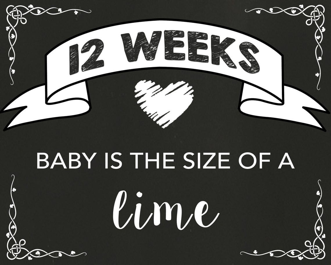 Pregnancy Week by Week Printable Pregnancy Signs Weekly - Etsy