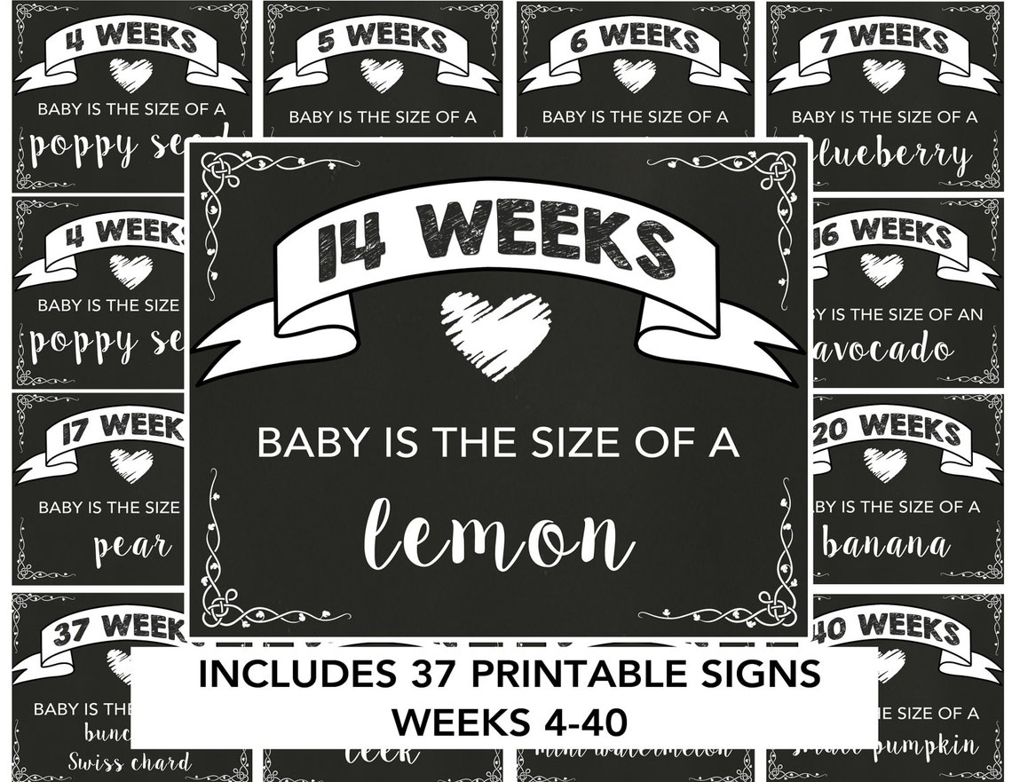 Pregnancy Week by Week Printable Pregnancy Signs Weekly - Etsy