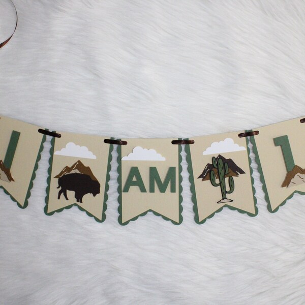 Buffalo Bison Signs - Etsy