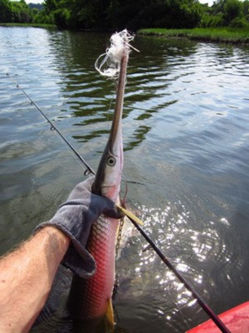 Gar Catcher Rope Lure - Large Trophy Size - White - Flat Rate Shipping ...